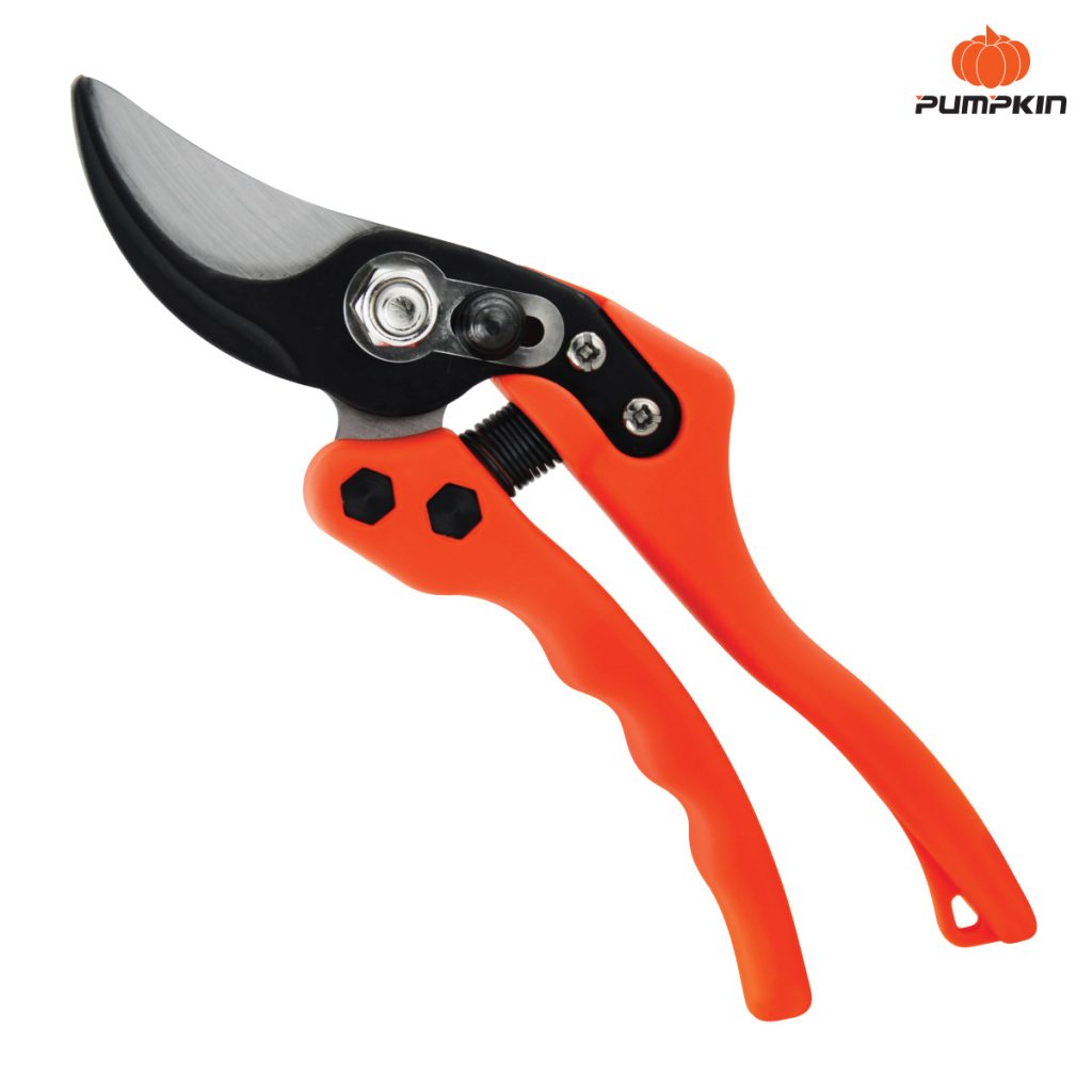 Scissors cutting 34 ", Hercules | Pumpkin Tool