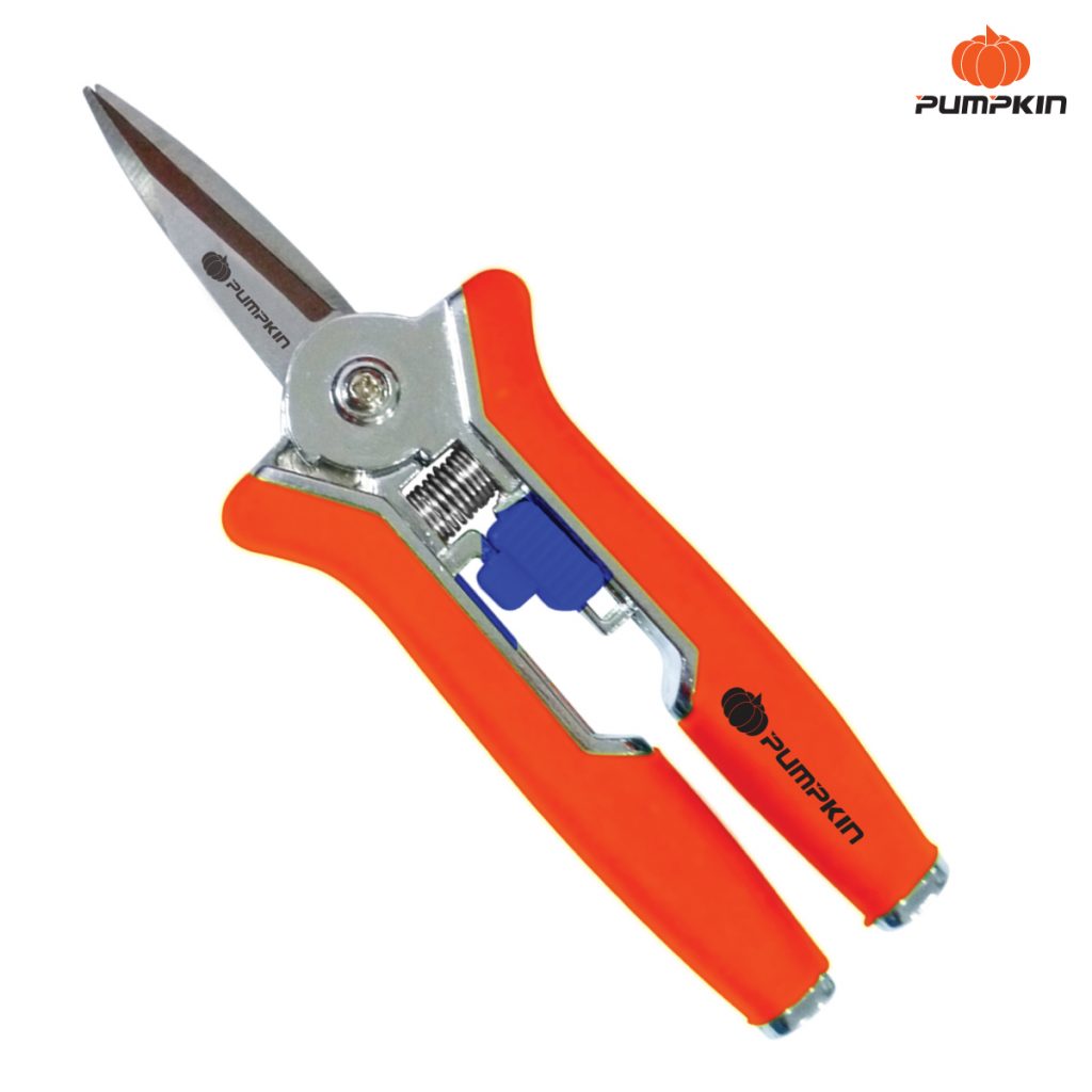 Scissors cut the fruit straight edge spike stainless steel. 6″ PTG-SP6 ...